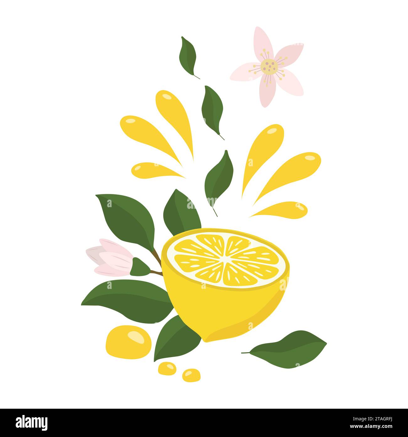 Fruit composition whole sliced Stock Vector Images - Alamy