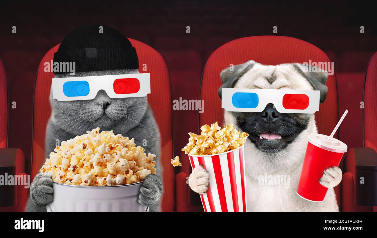 Two funny friends animals cat and dog with 3d glasses are sitting in ...