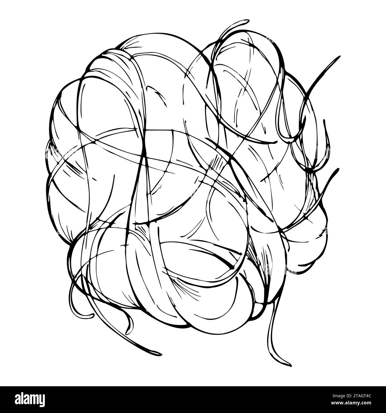 Hand drawn vector ink illustration. Long pasta Italian cuisine ...