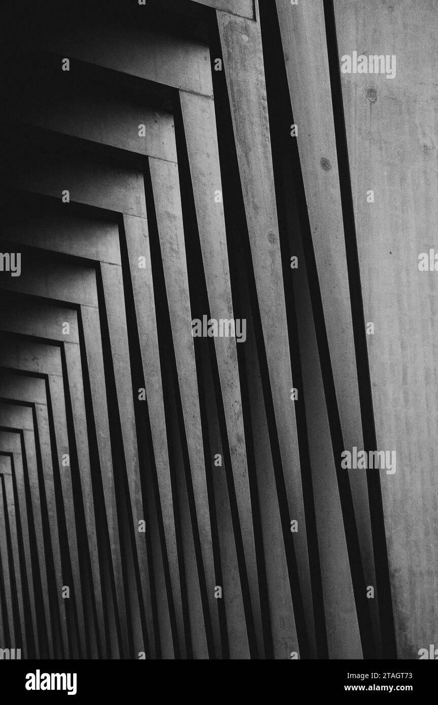A vertical grayscale shot of an array of wooden pillars Stock Photo - Alamy
