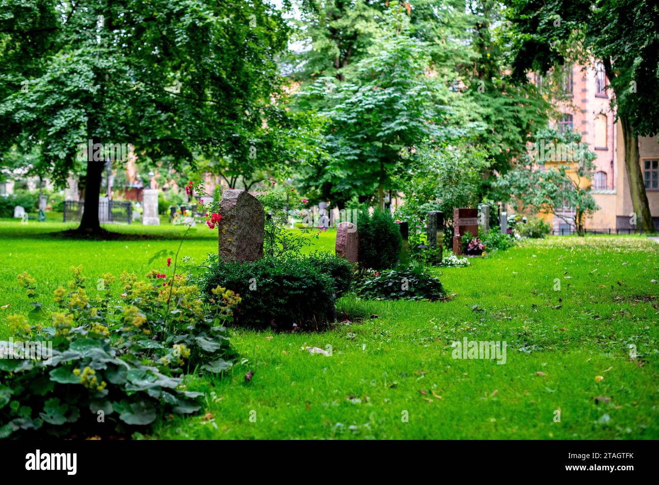 An outdoor cemetery with a lush, green landscape Stock Photo - Alamy