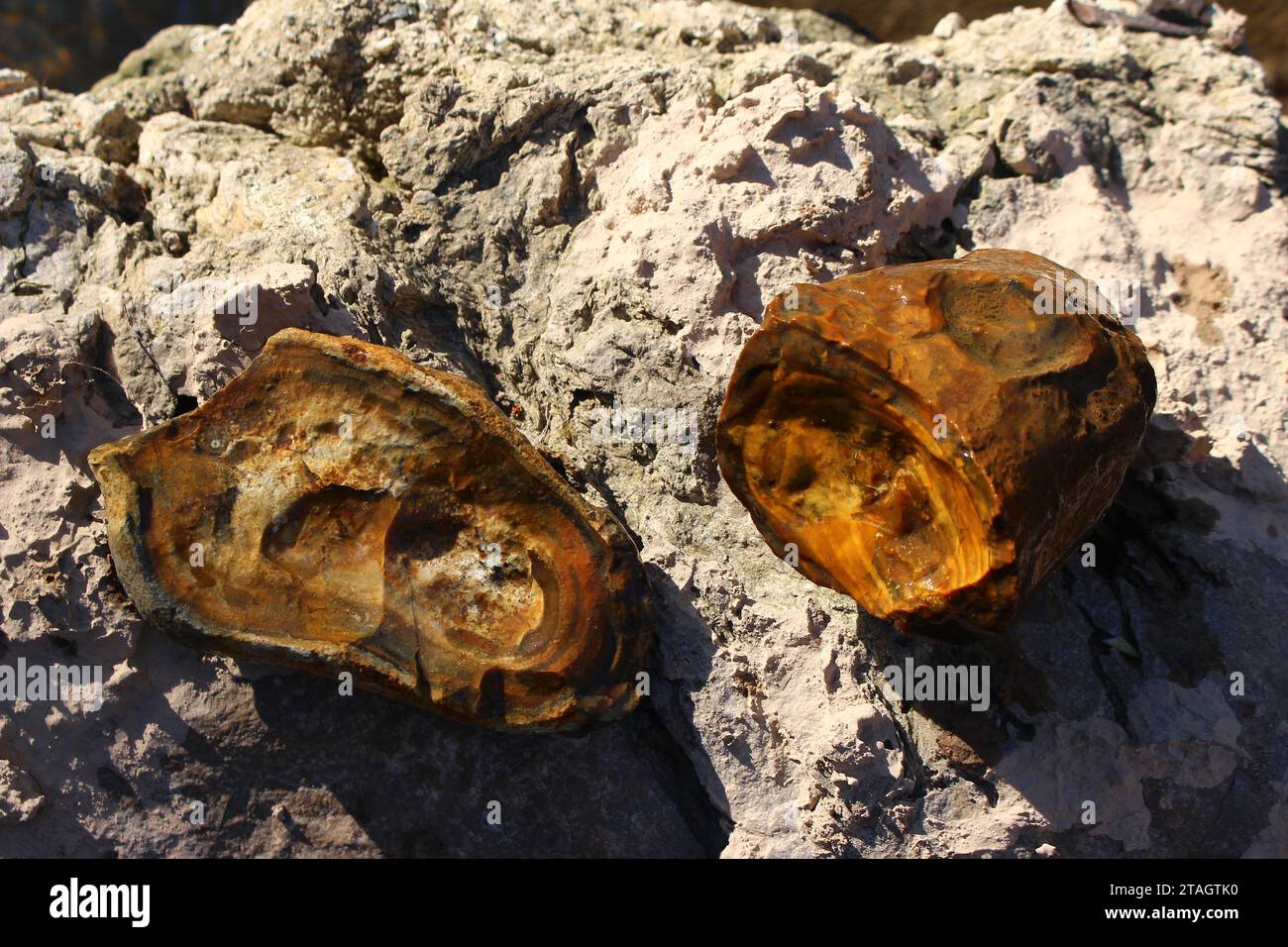 Flint nodules hi-res stock photography and images - Alamy