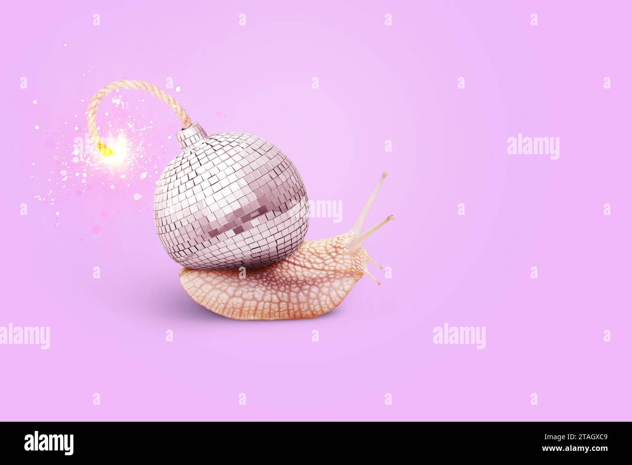 Creative snail with a mirror ball bomb with sparks on a pink background ...
