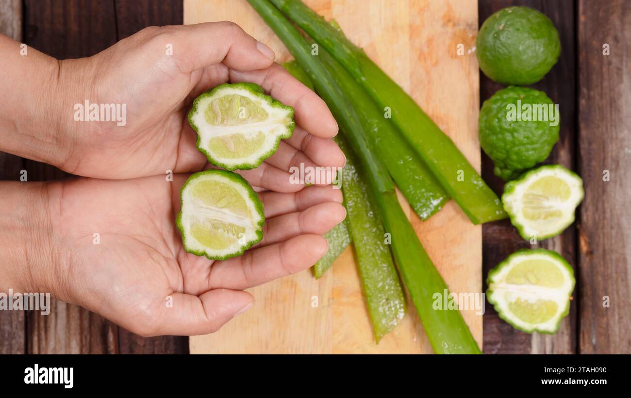 Women hold kaffir lime and aloe vera to make skin care and beauty ...