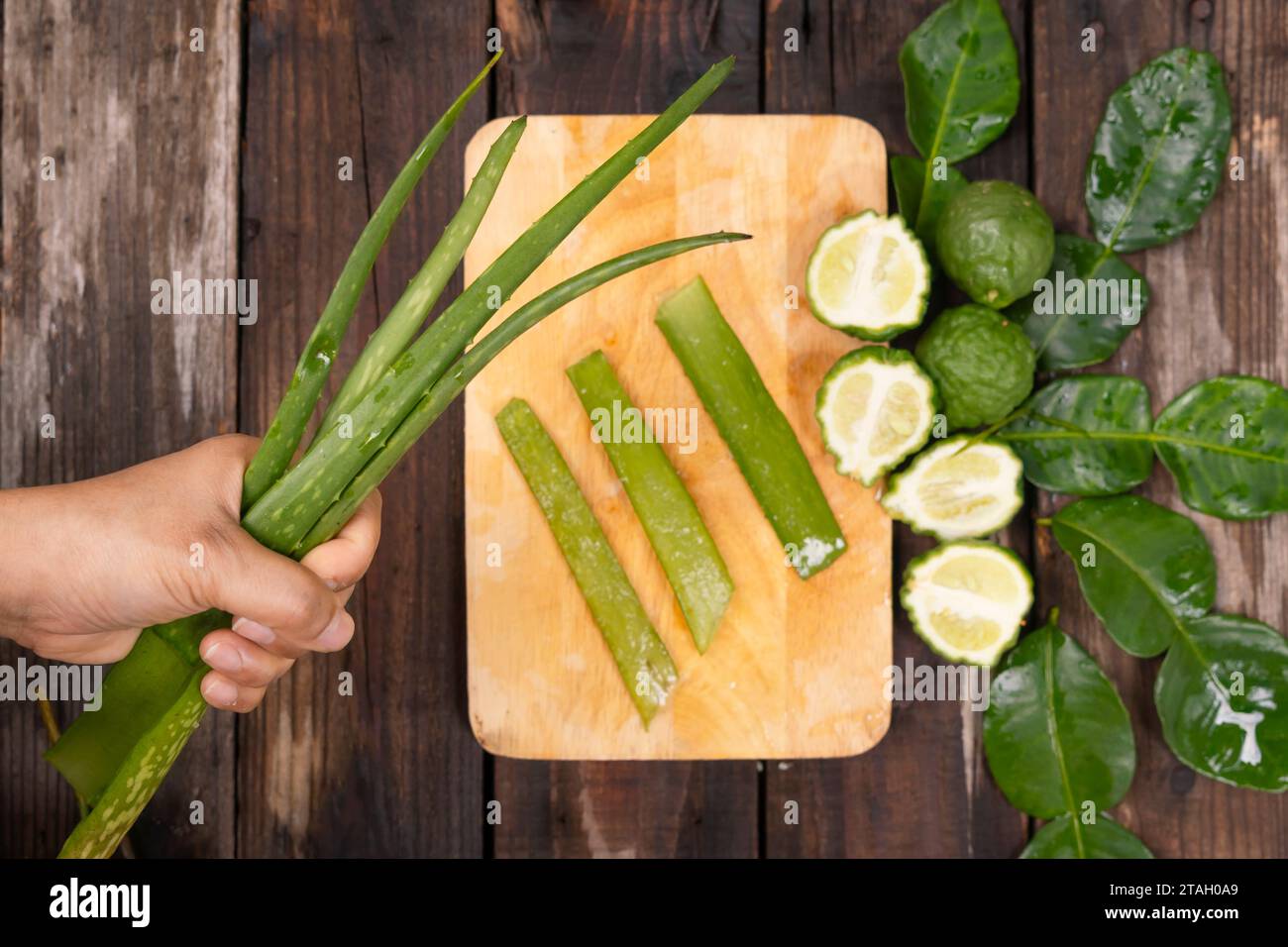 Women hold aloe vera and bergamot. To make vitamin ingredients for skin ...