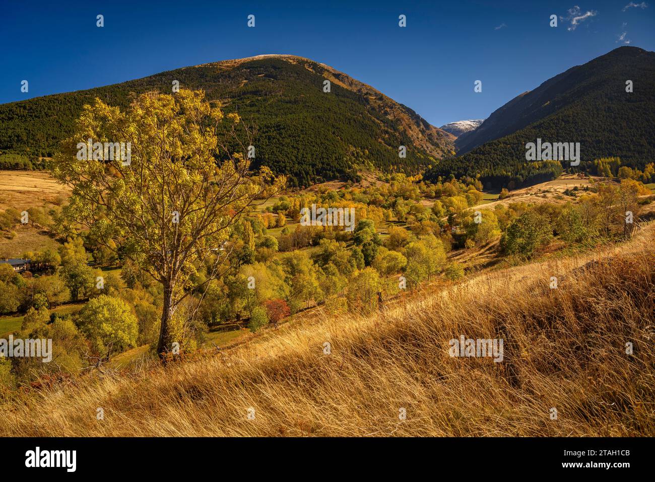 Eyne pyrénées hi-res stock photography and images - Alamy