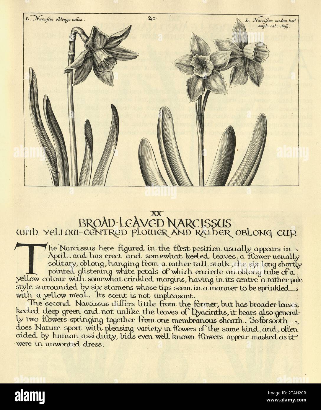 Biology in art hi-res stock photography and images - Alamy