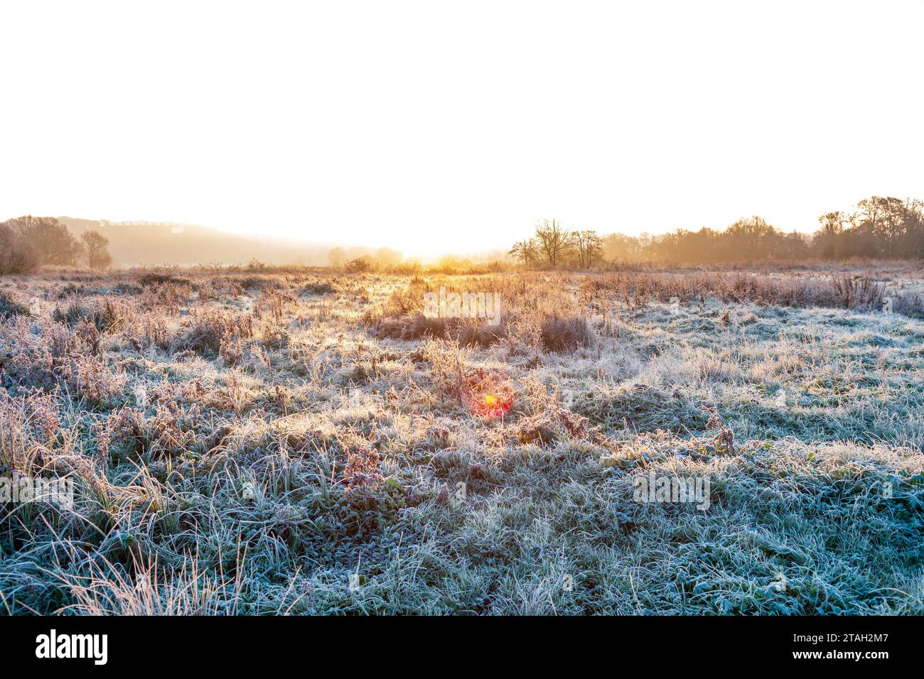 Avon Valley, New Forest, Hampshire, UK, 1st December 2023: Weather ...