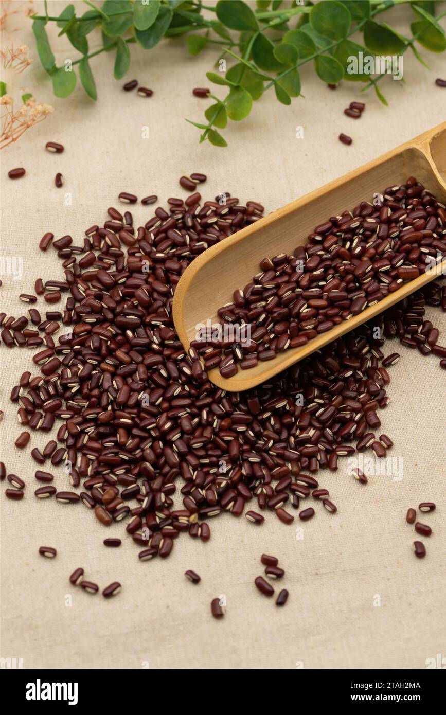 Pictures of red beans, red beans for diet, vegetarian food, high ...