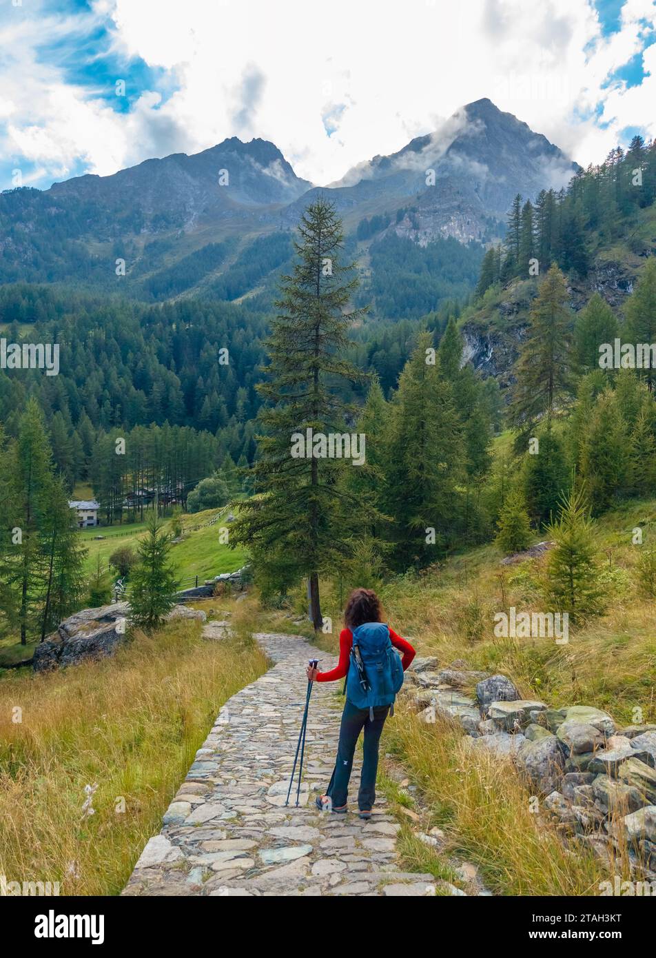 Monte Rosa (Italy) - A mountains view in Val d'Ayas with Monte Rosa ...