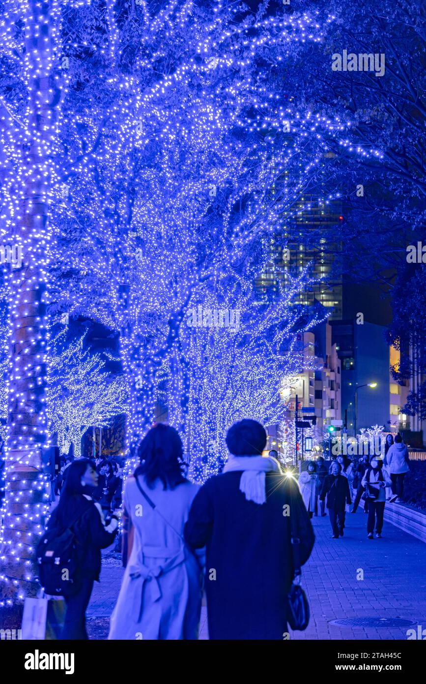 Shibuya Blue Cave winter illumination festival, beautiful view, popular ...