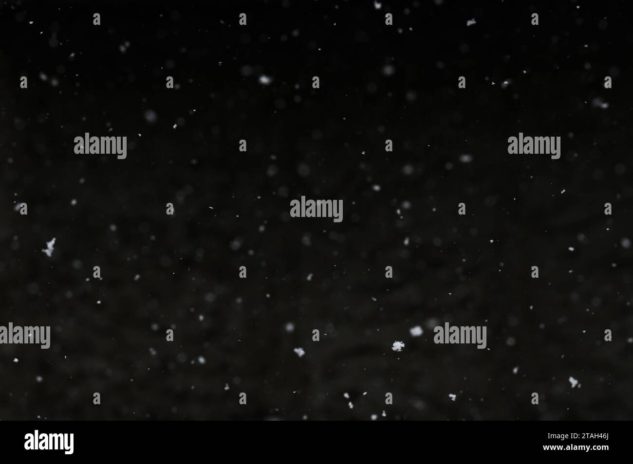 Falling snowflakes on night sky background, isolated for post ...