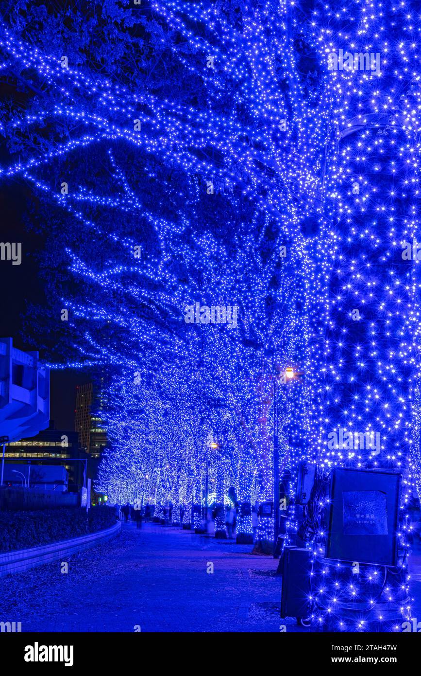 Shibuya Blue Cave winter illumination festival, beautiful view, popular ...