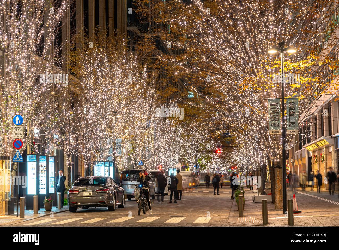 Tokyo Marunouchi winter illumination festival, beautiful view, popular ...