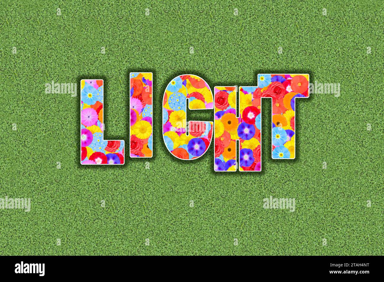 Light word hi-res stock photography and images - Alamy