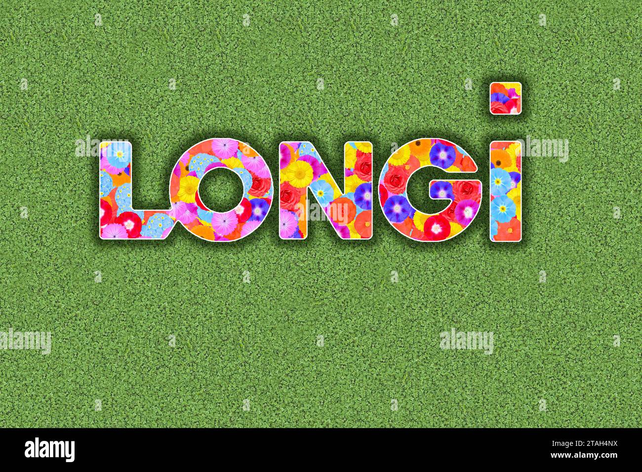 Longi logo hi-res stock photography and images - Alamy