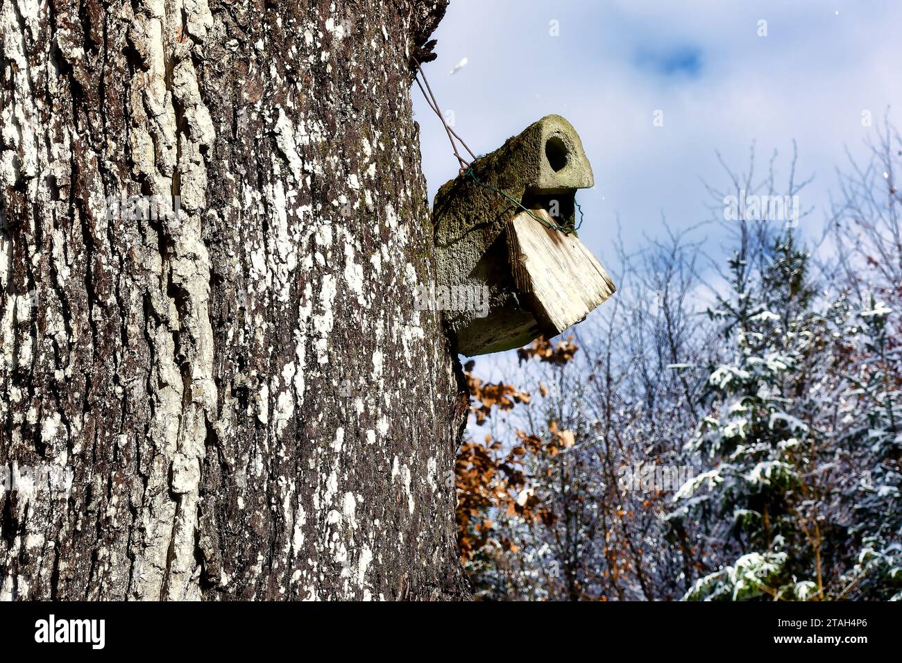 View of a German winter landscape with snow and a blue sky with clouds ...