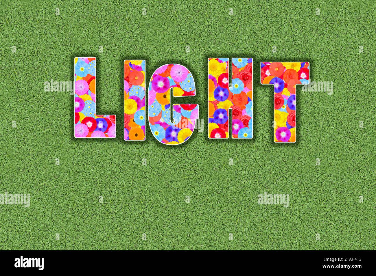 light written with flowers Stock Photo - Alamy