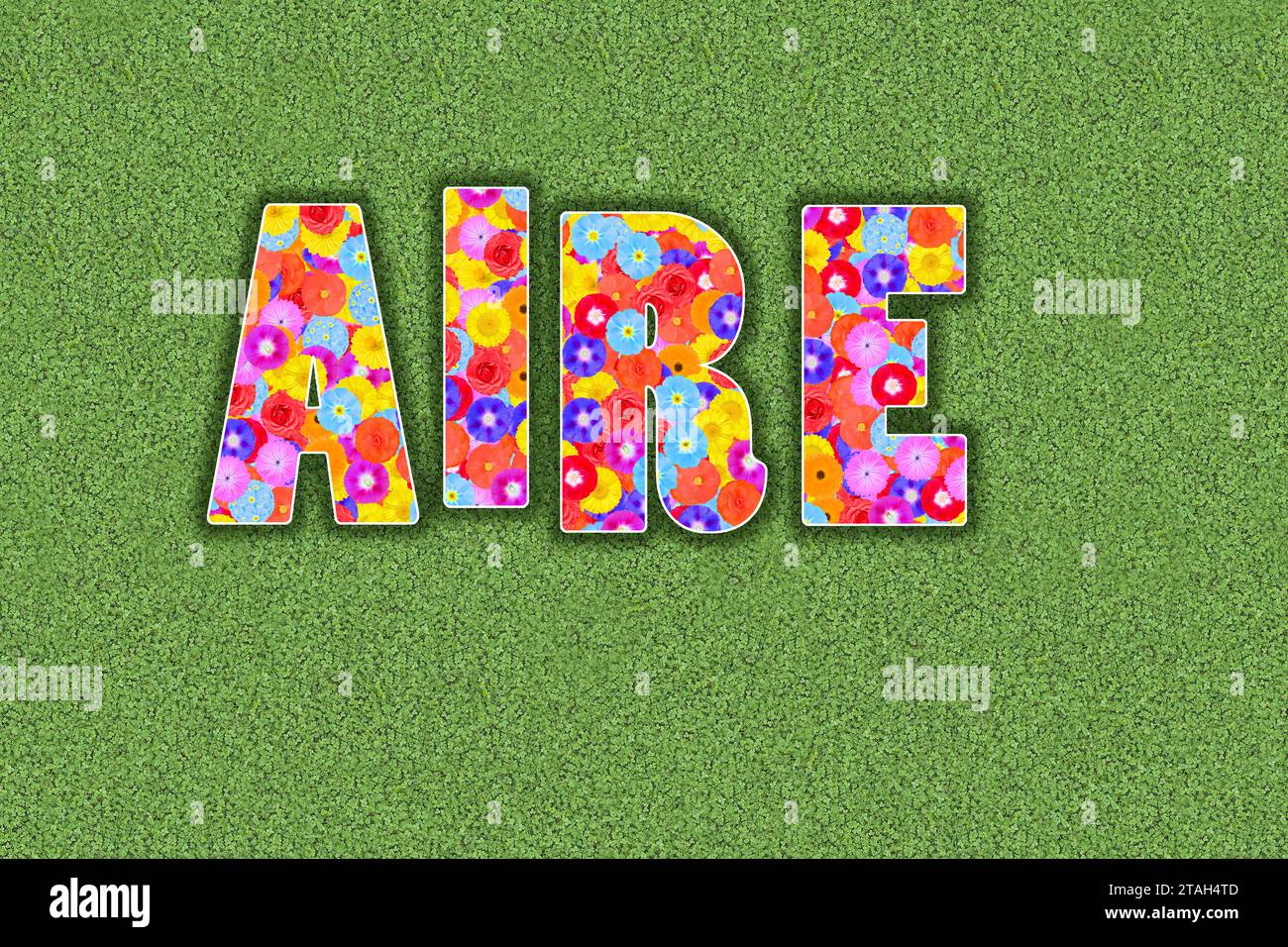 spanish word aire for air, written with flowers Stock Photo - Alamy