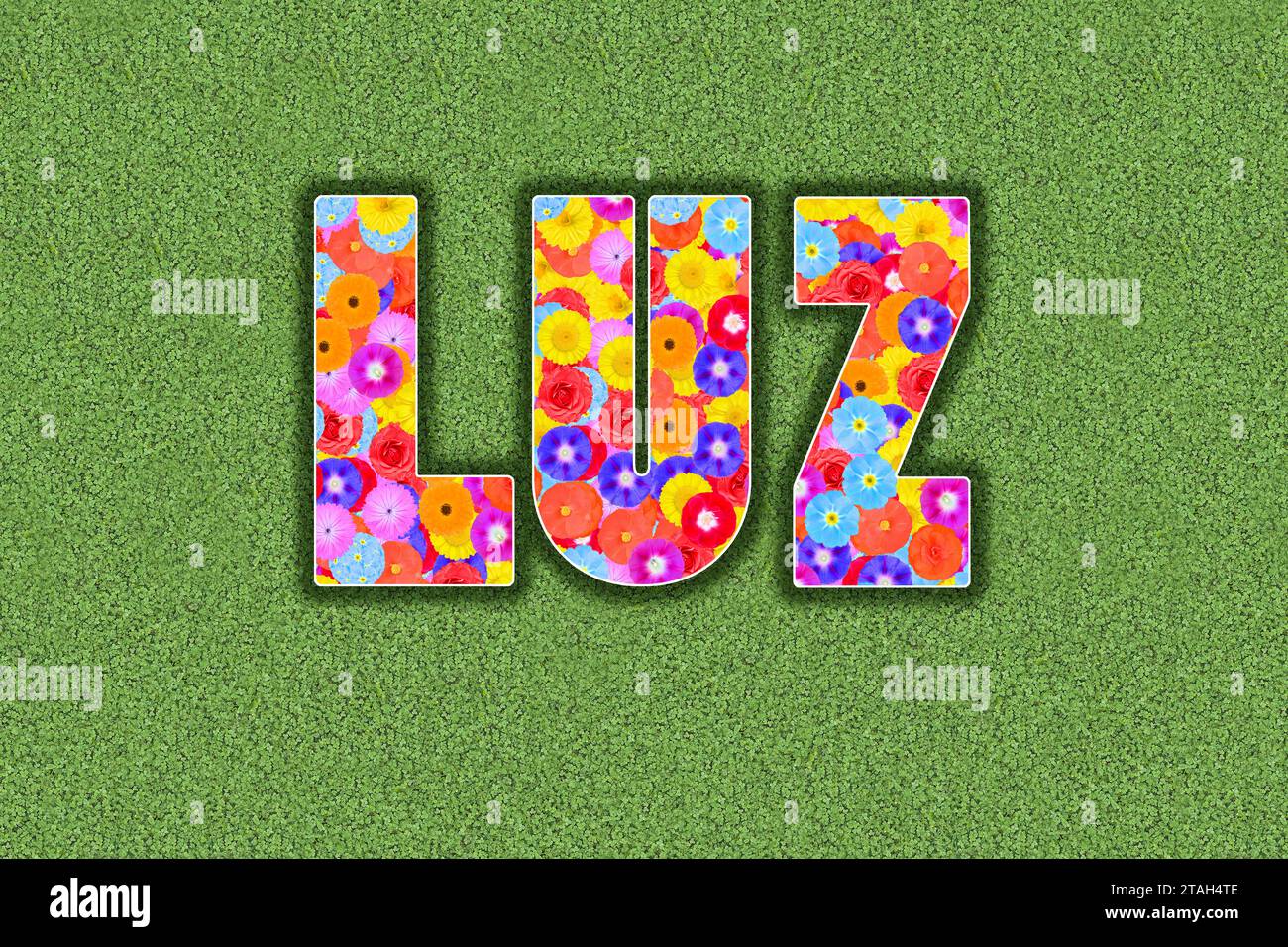 Spanish word hi-res stock photography and images - Alamy