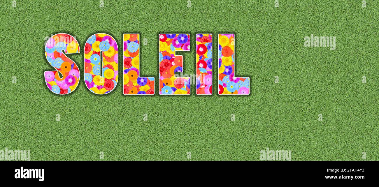 french word soleil for sun, written with flowers Stock Photo - Alamy