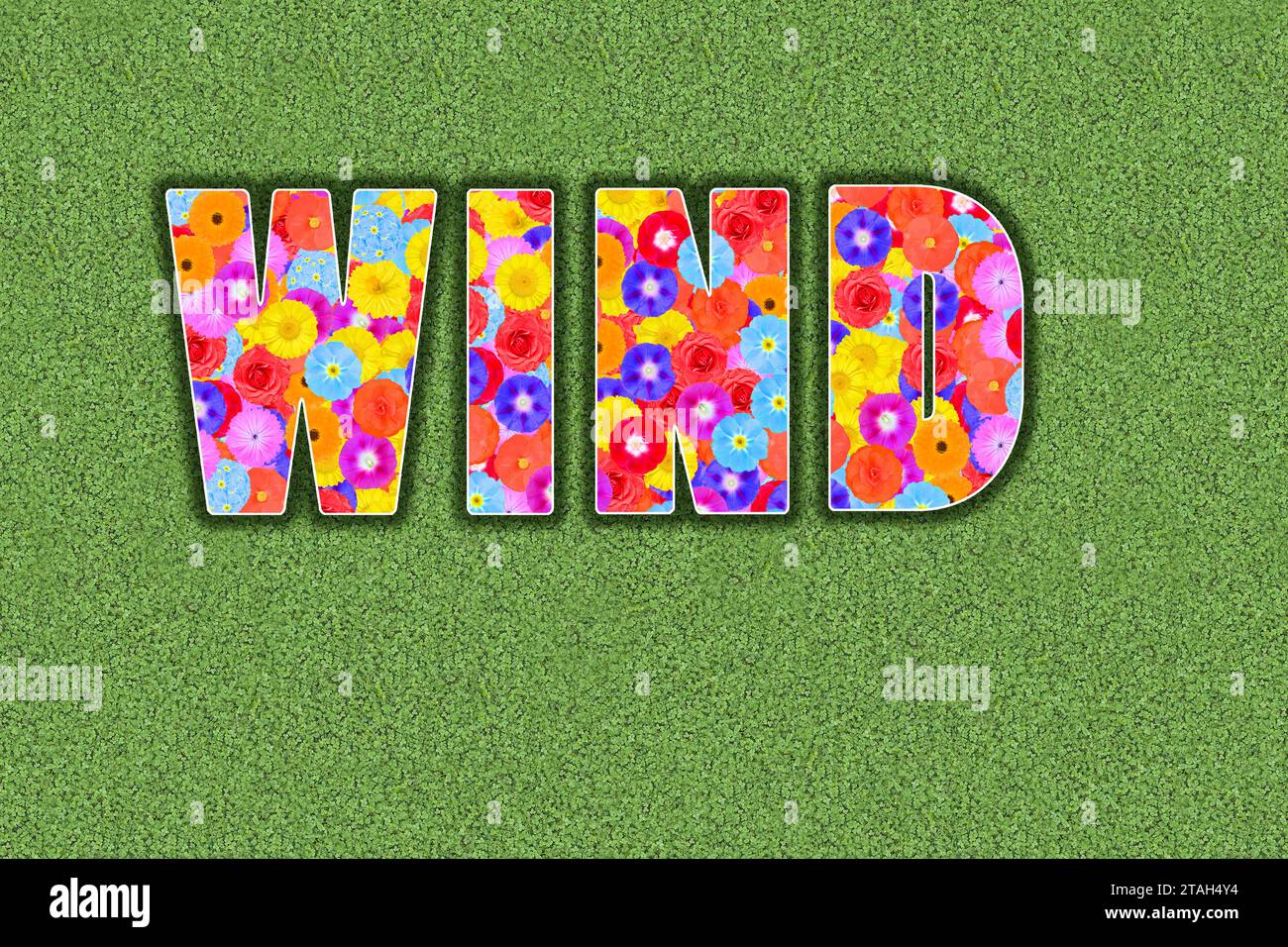 wind written with flowers Stock Photo - Alamy