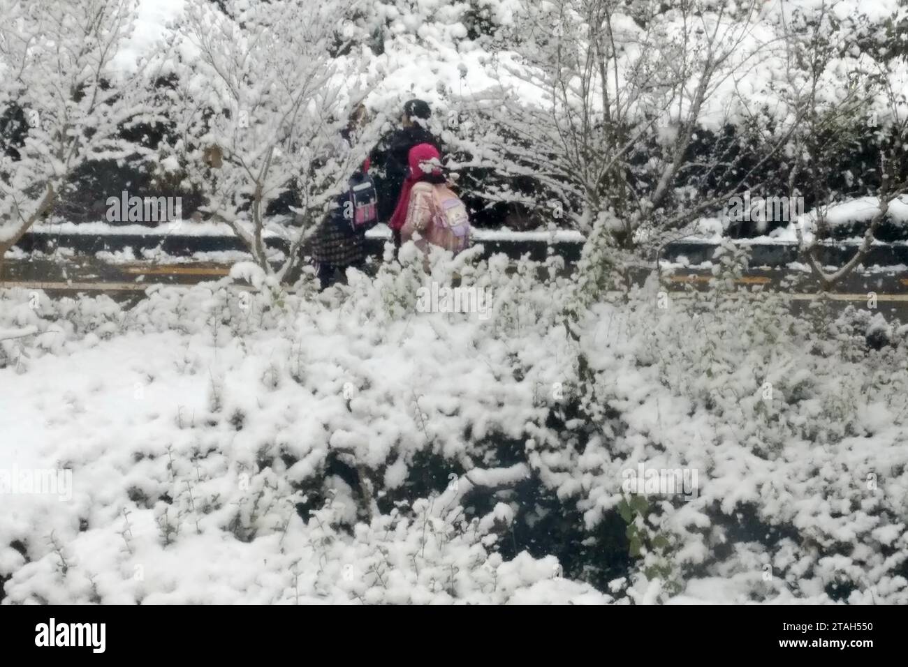 A heavy snow falls in Weihai City, east China's Shandong Province, 30 ...