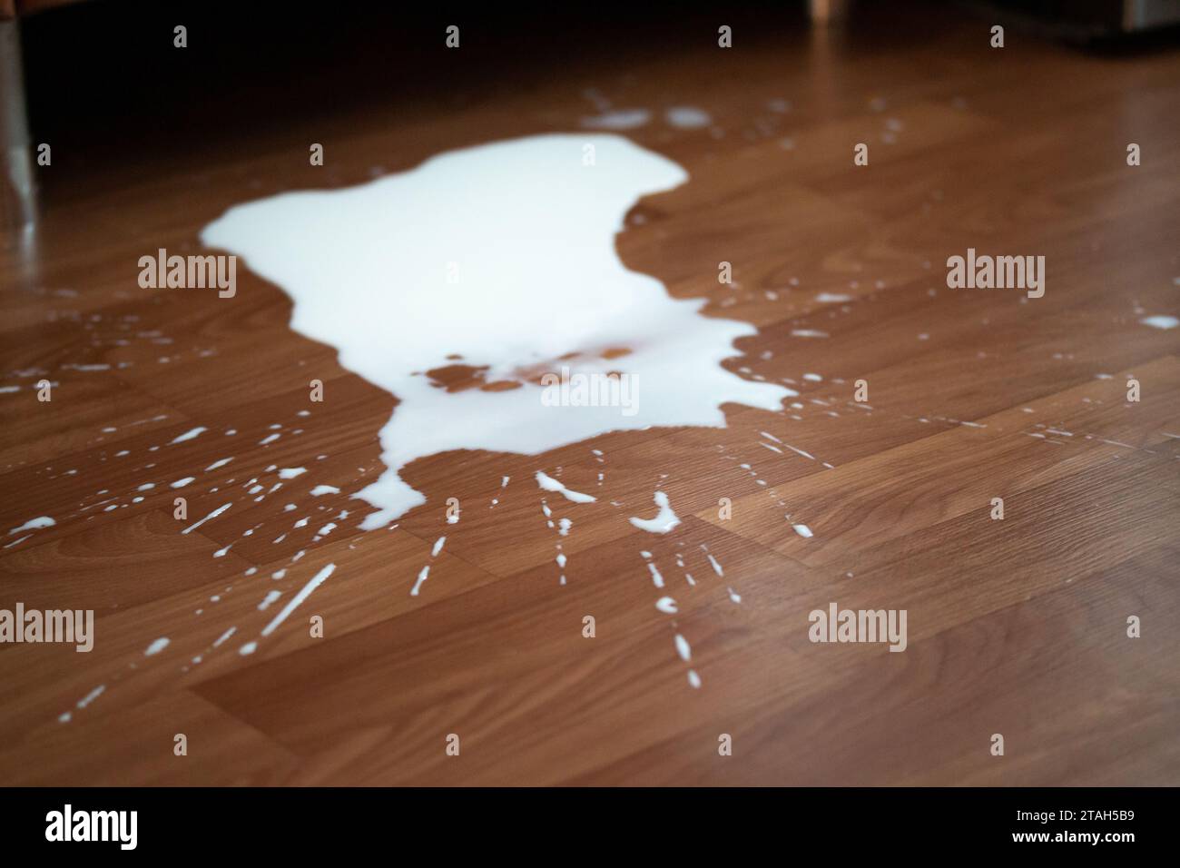 Spilled milk on the floor. White spot of liquid with splashes. Healthy beverage dropped by ...