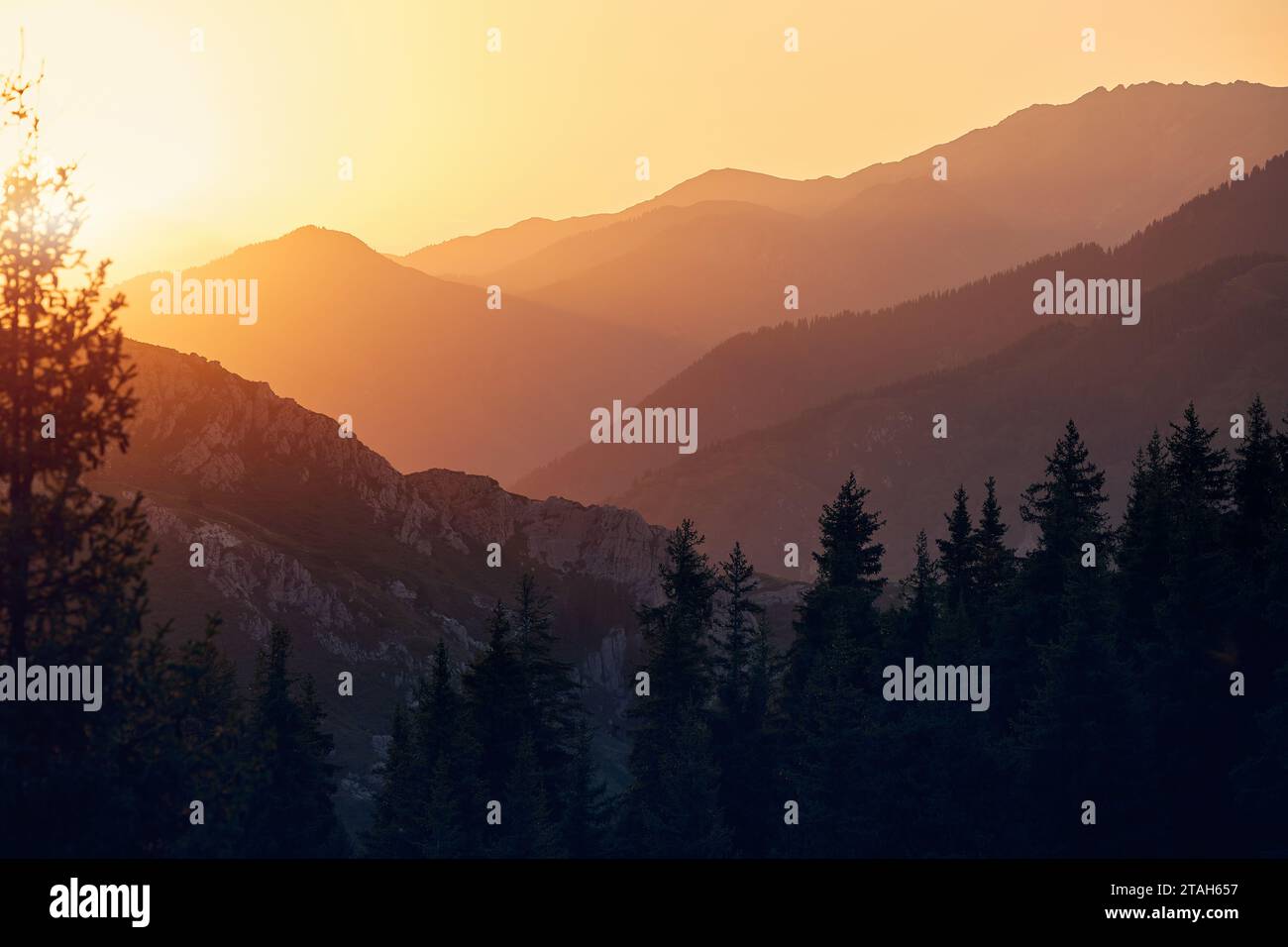 Beautiful glowing sunrise scenery of the mountains summit with forest ...