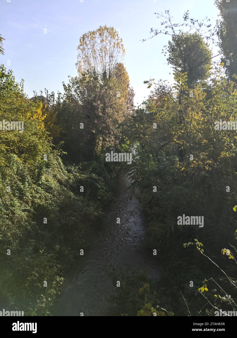 Stream of water bordered by trees and plants in a park Stock Photo - Alamy
