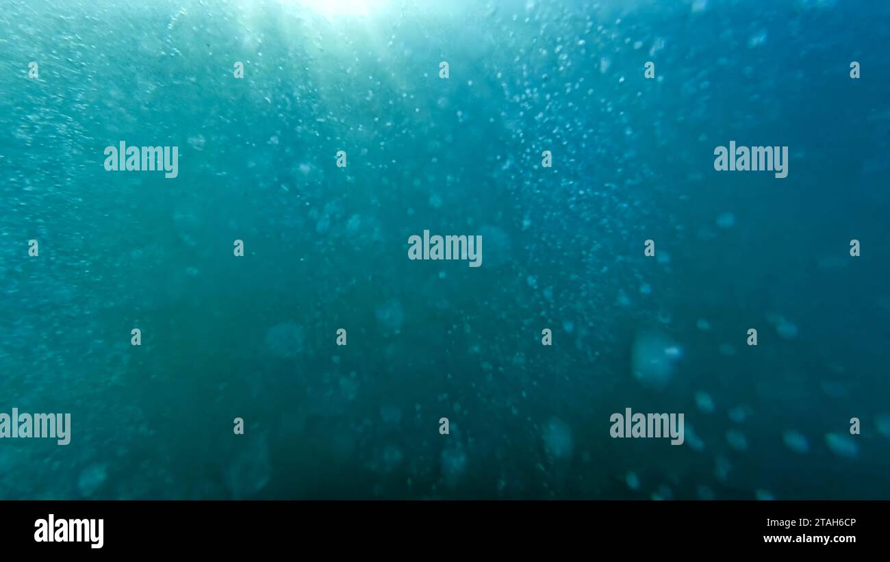 Air bubbles rising from the sea bottom up to water surface. Diver ...