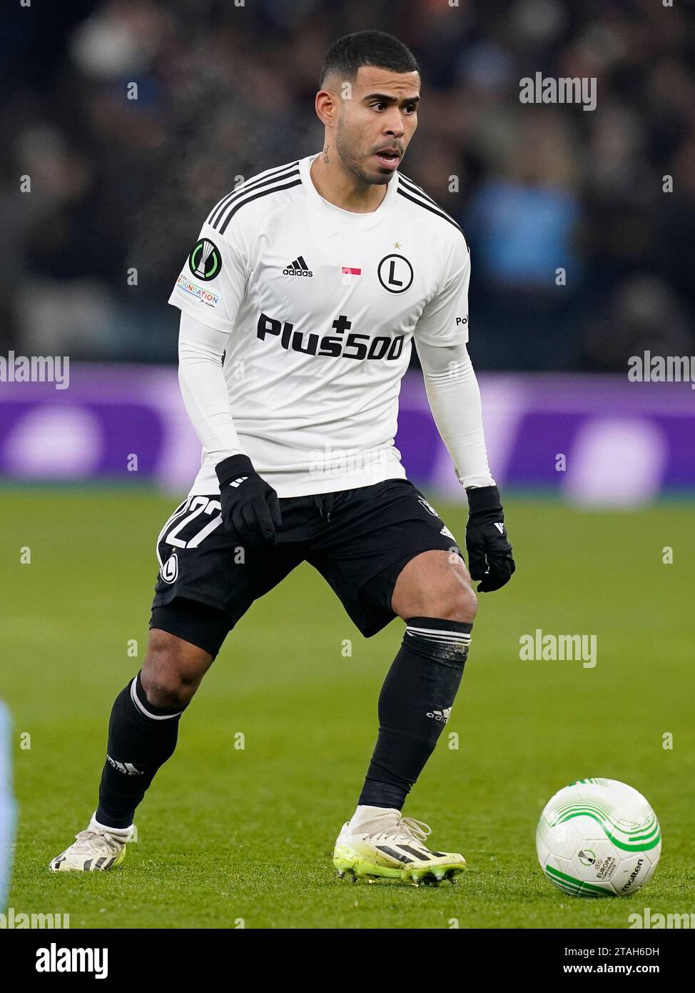 Elitim hi-res stock photography and images - Alamy