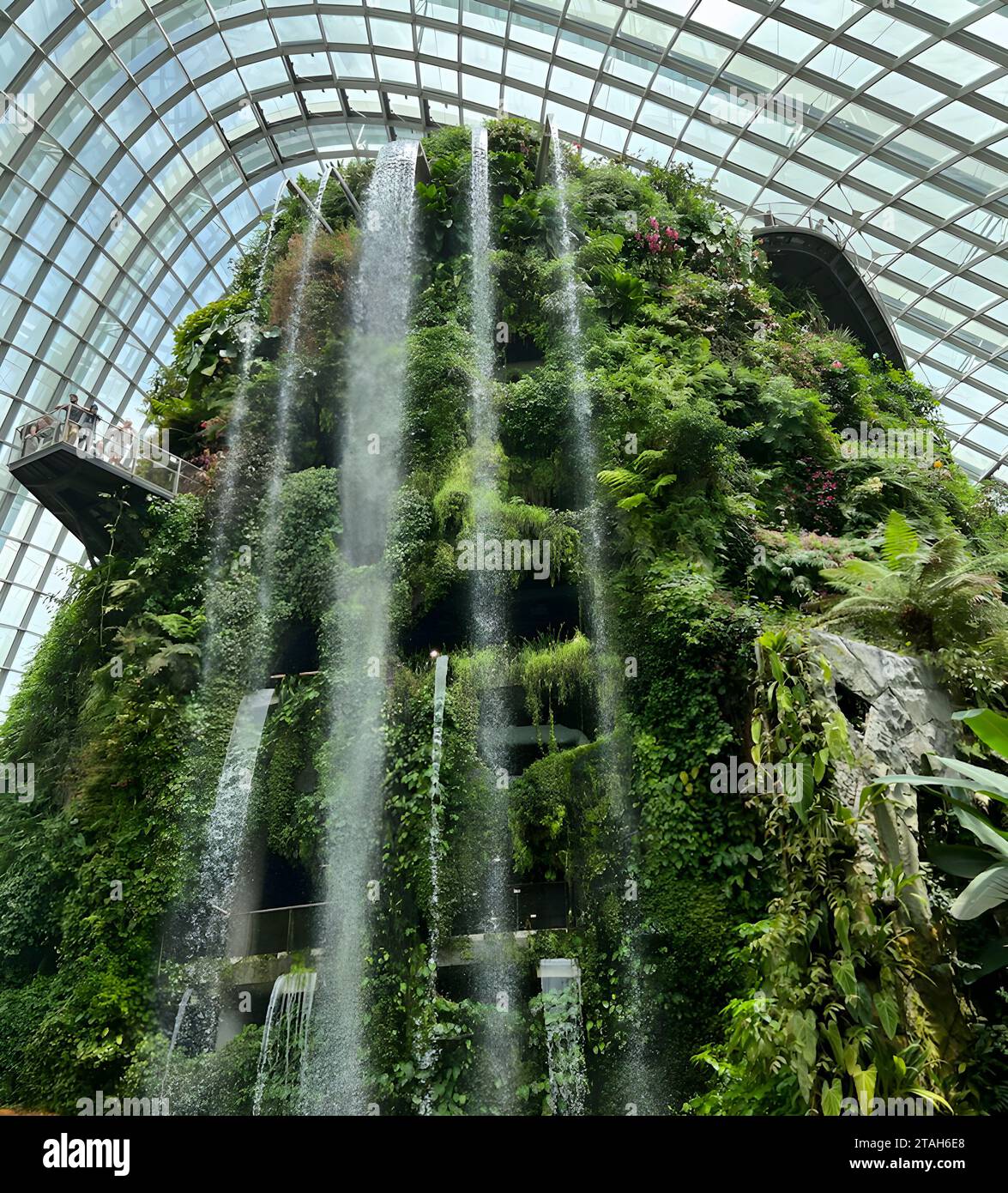 Vegetationed hi-res stock photography and images - Alamy