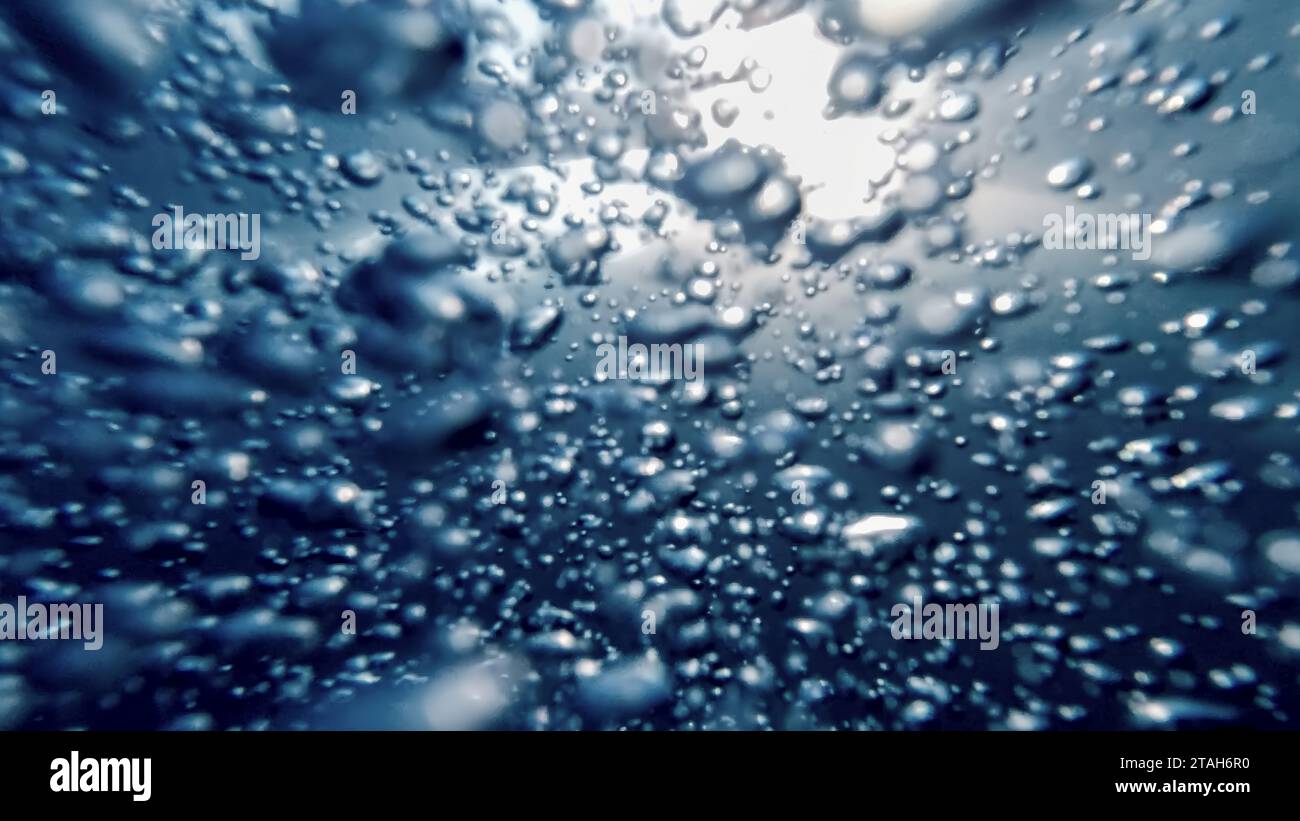 Air bubbles from the depths of the ocean to the water's surface made by ...