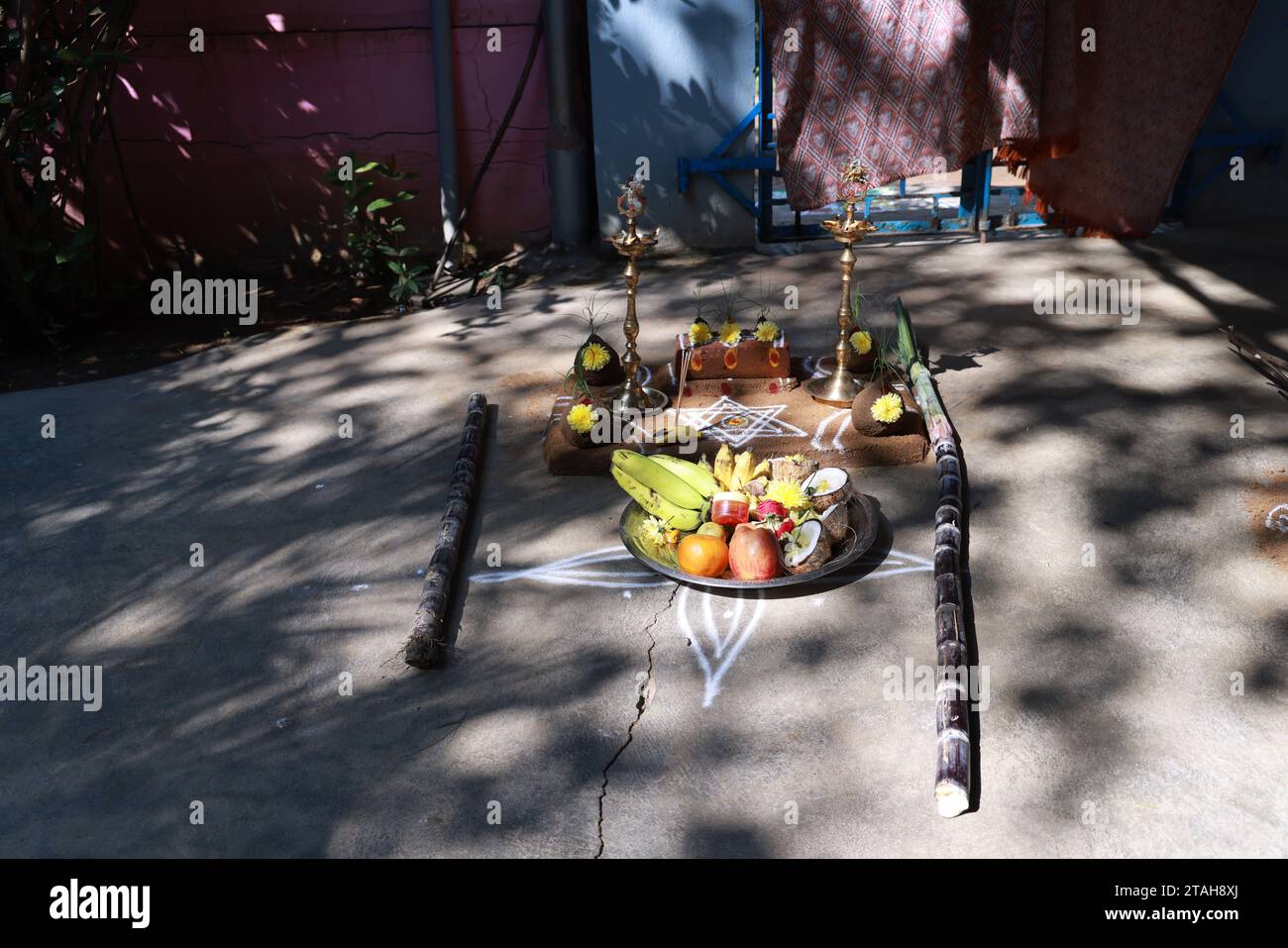 Traditional Thai Pongal festival celebration to sun god with sakkara or ...