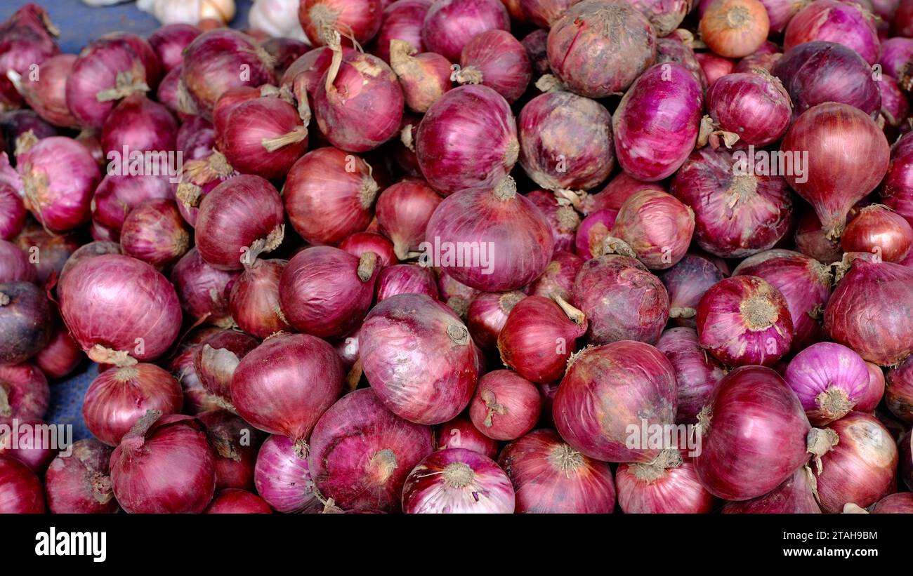 The display of onions is an integral part of the market's produce ...