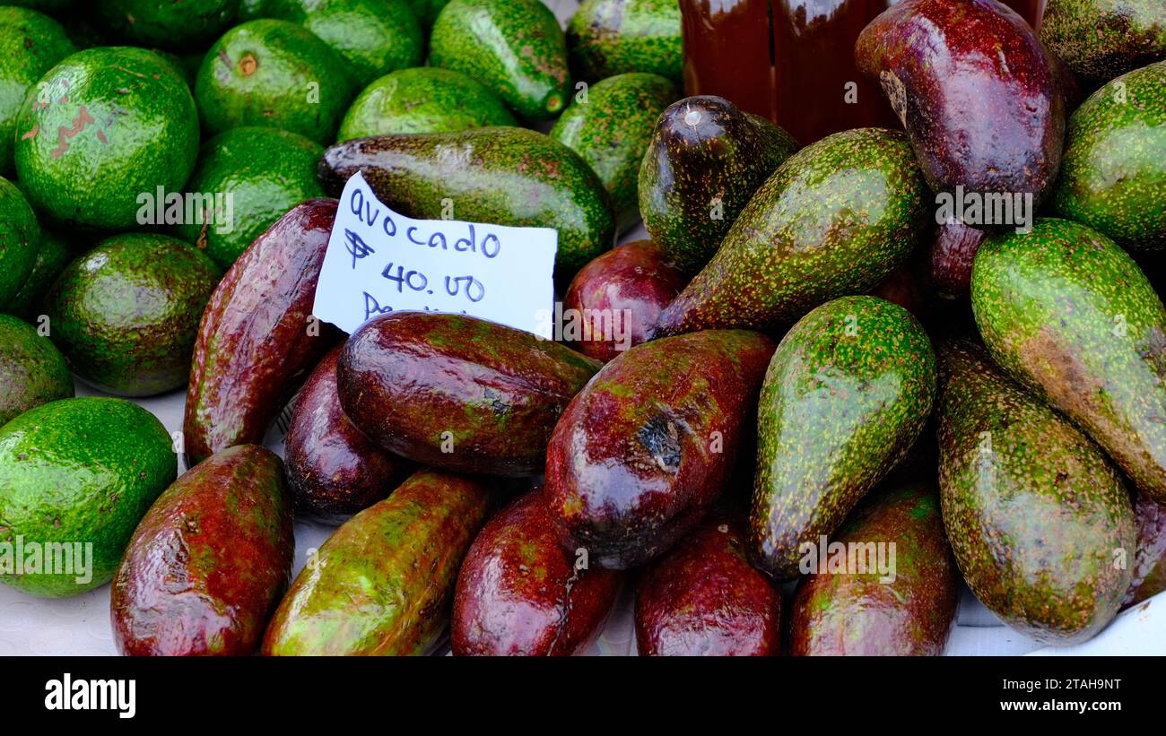 Nationalavocadoday hi-res stock photography and images - Alamy
