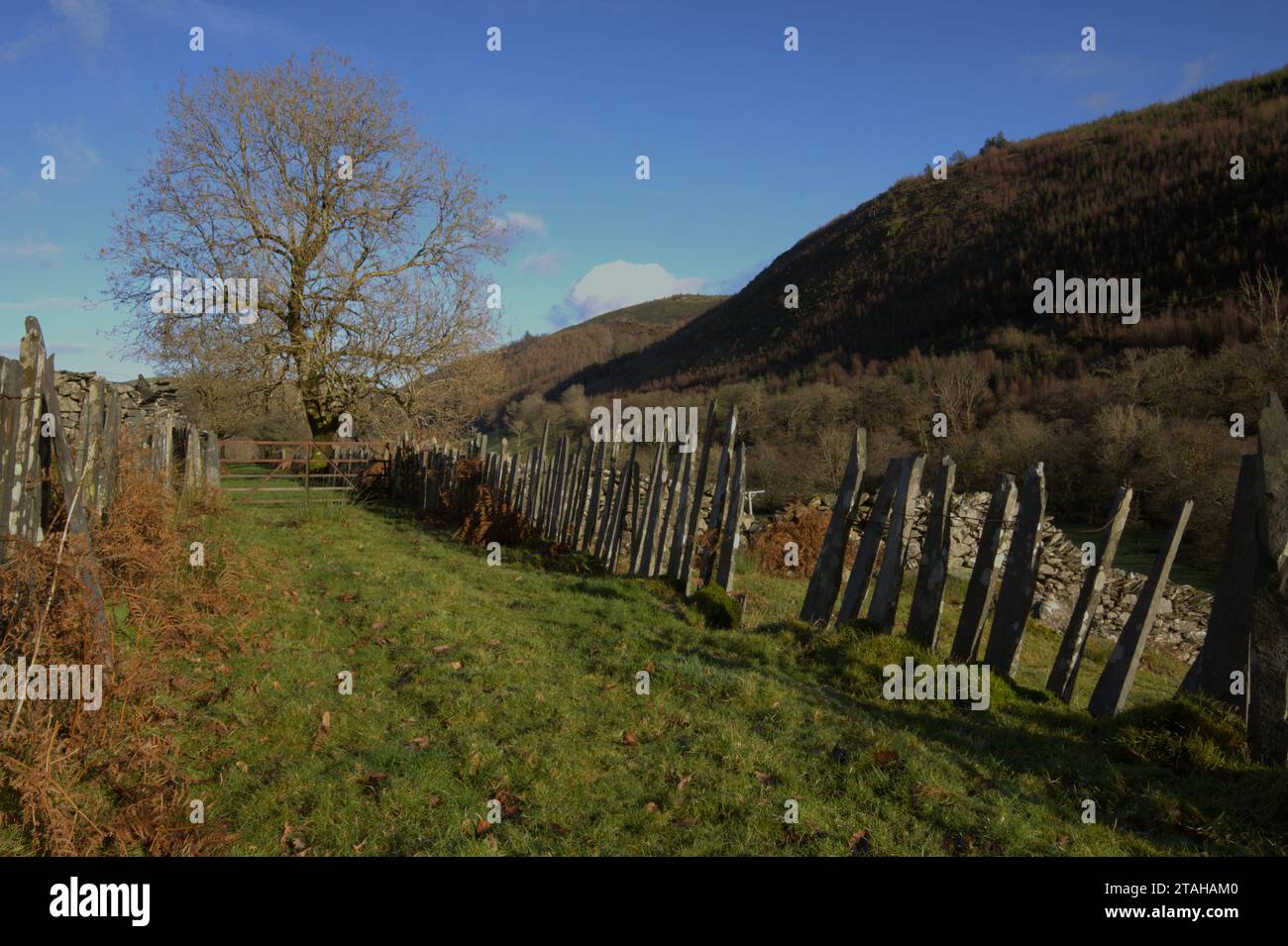 The old trackbed and slate fence of the Corris Slate Railway, Gwynedd ...