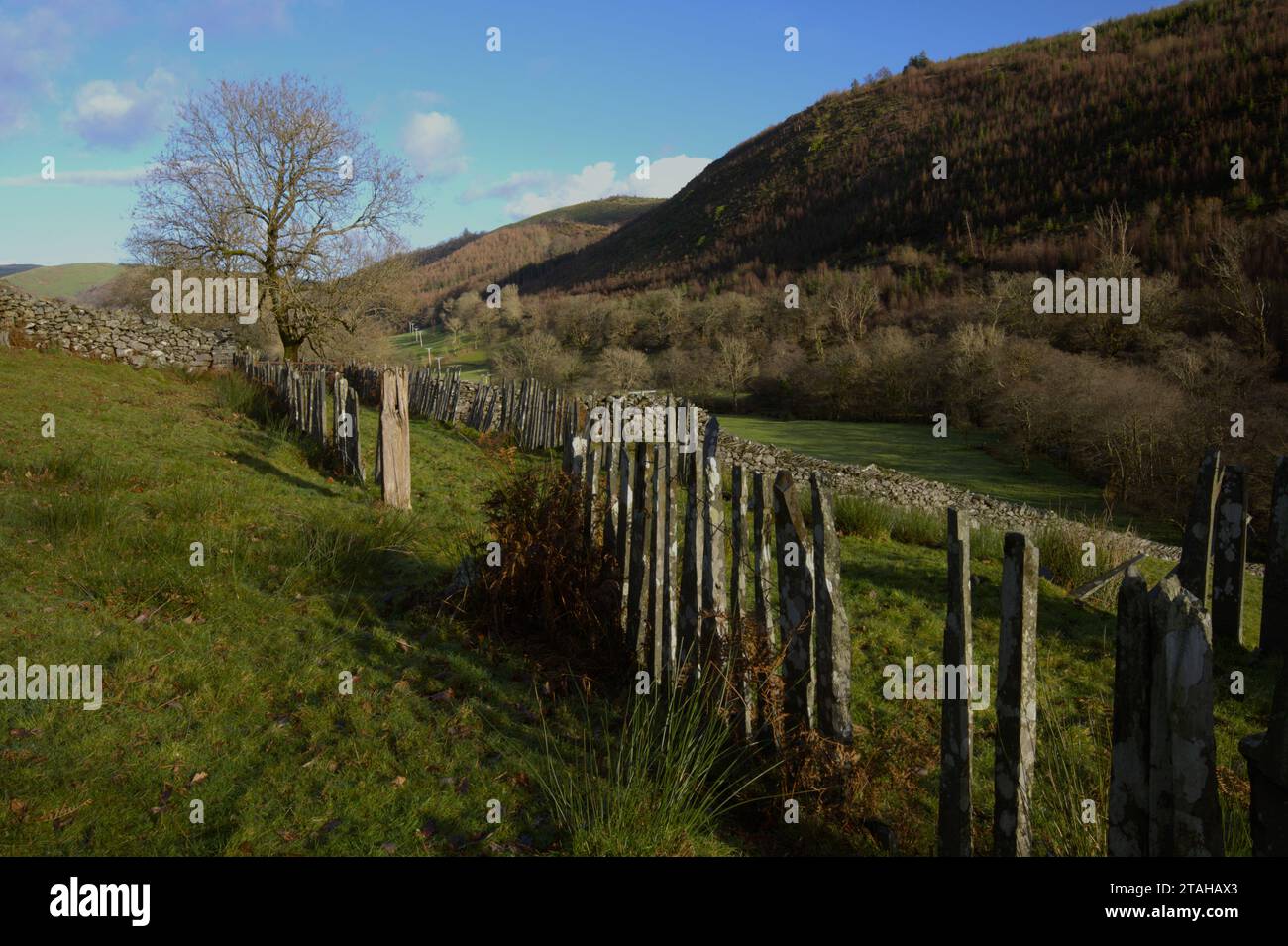 The old trackbed and slate fence of the Corris Slate Railway, Gwynedd ...
