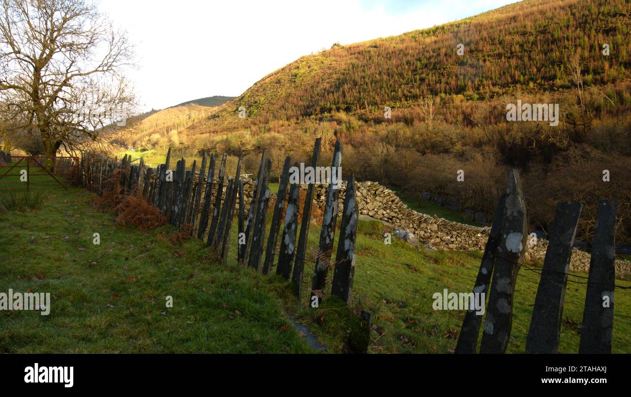 Disused section of railway hi-res stock photography and images - Alamy