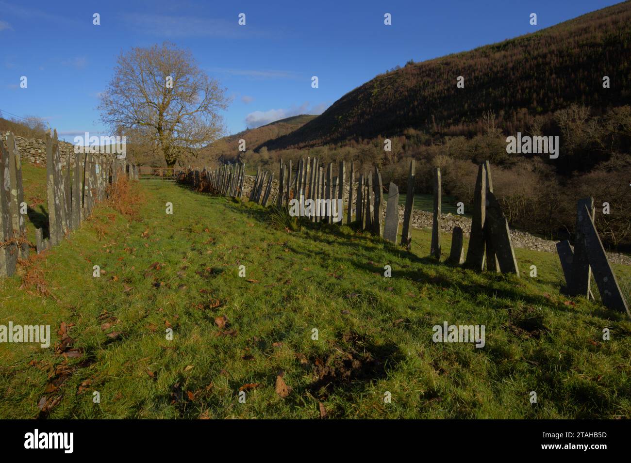 Old corris railway trackbed hi-res stock photography and images - Alamy