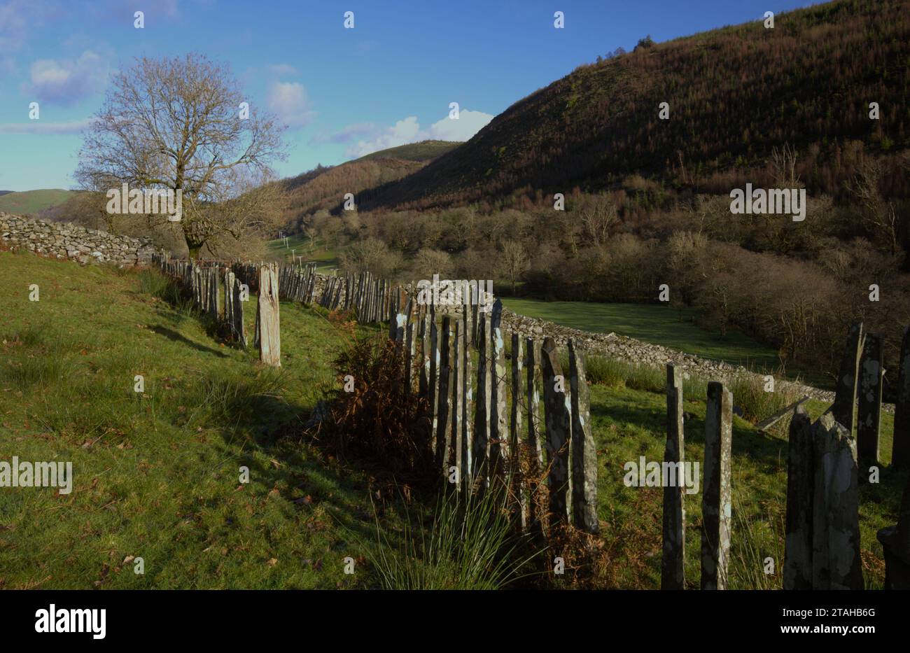 Old corris railway trackbed hi-res stock photography and images - Alamy