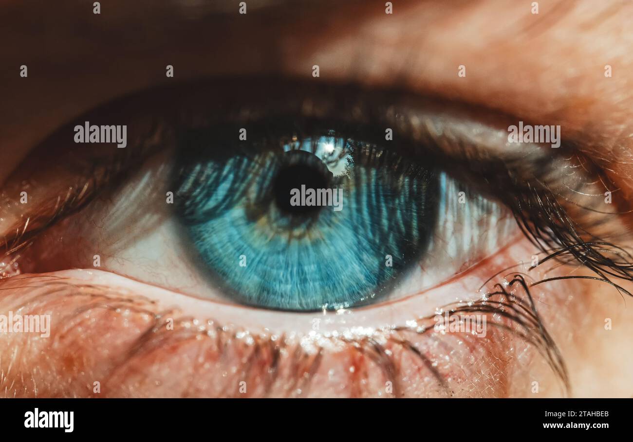 Close shot of the human eye. The eye of a woman Stock Photo - Alamy