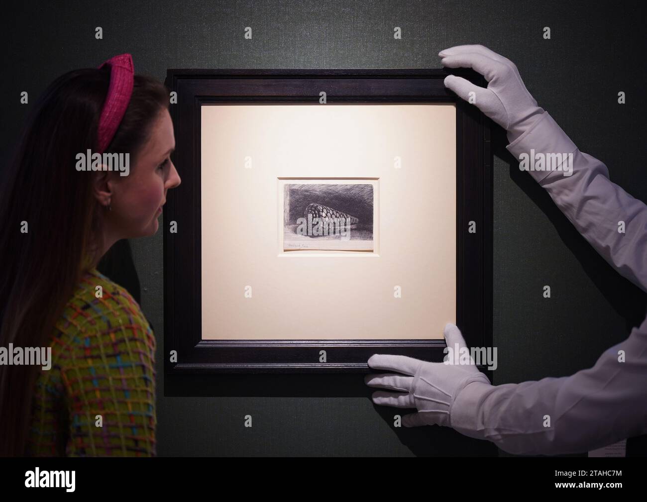 An etching by Rembrandt van Rijn, The Shell (Conus Marmoreus), 1650 ...