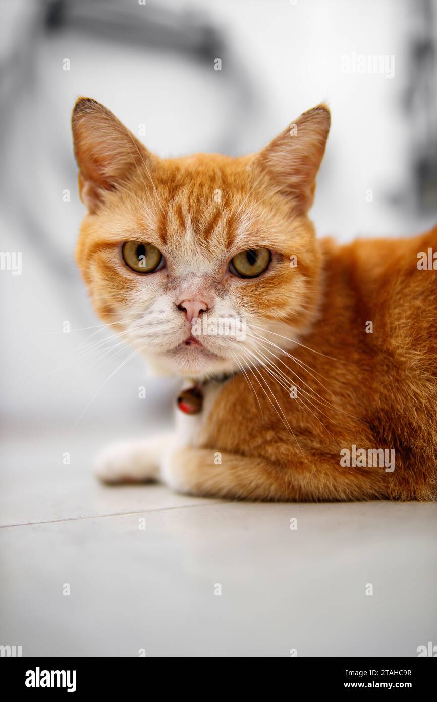 Facing sideways hi-res stock photography and images - Alamy