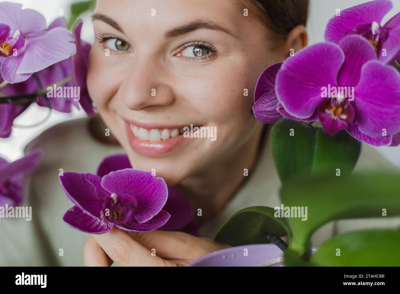 Orchid collector hi-res stock photography and images - Alamy