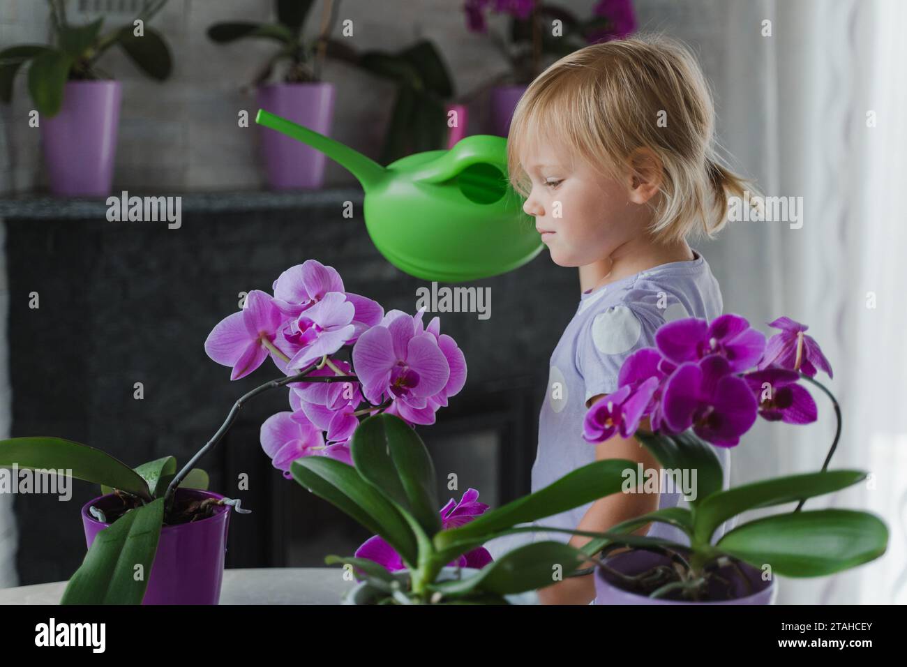 Little girl watering orchids from a watering can of phalaenopsis Stock Photo - Alamy