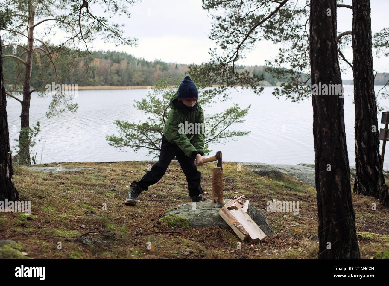 kid chopping wood with an axe in the forest Stock Photo - Alamy