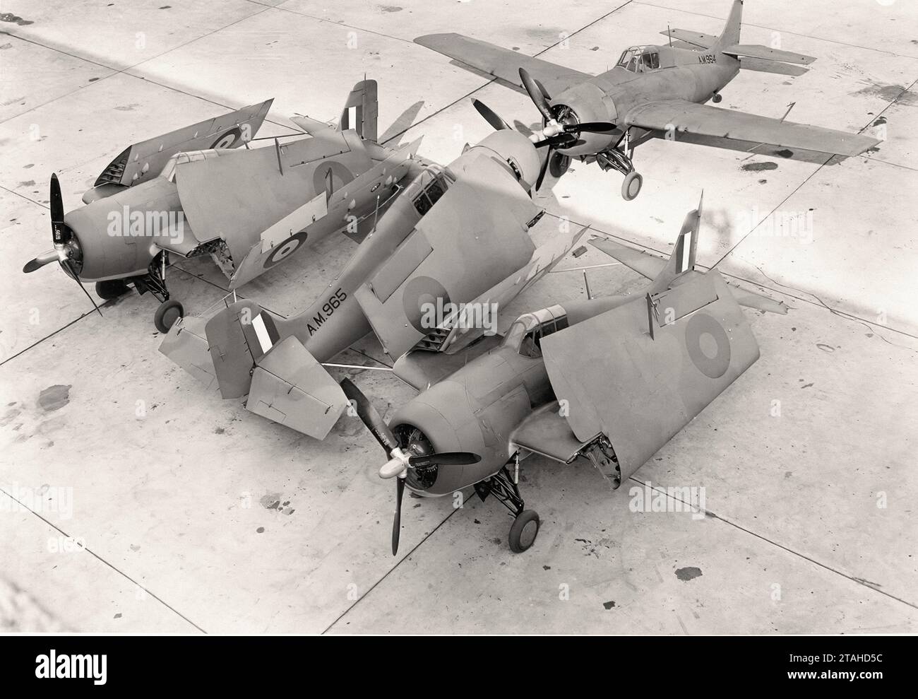 Martlets hi-res stock photography and images - Alamy