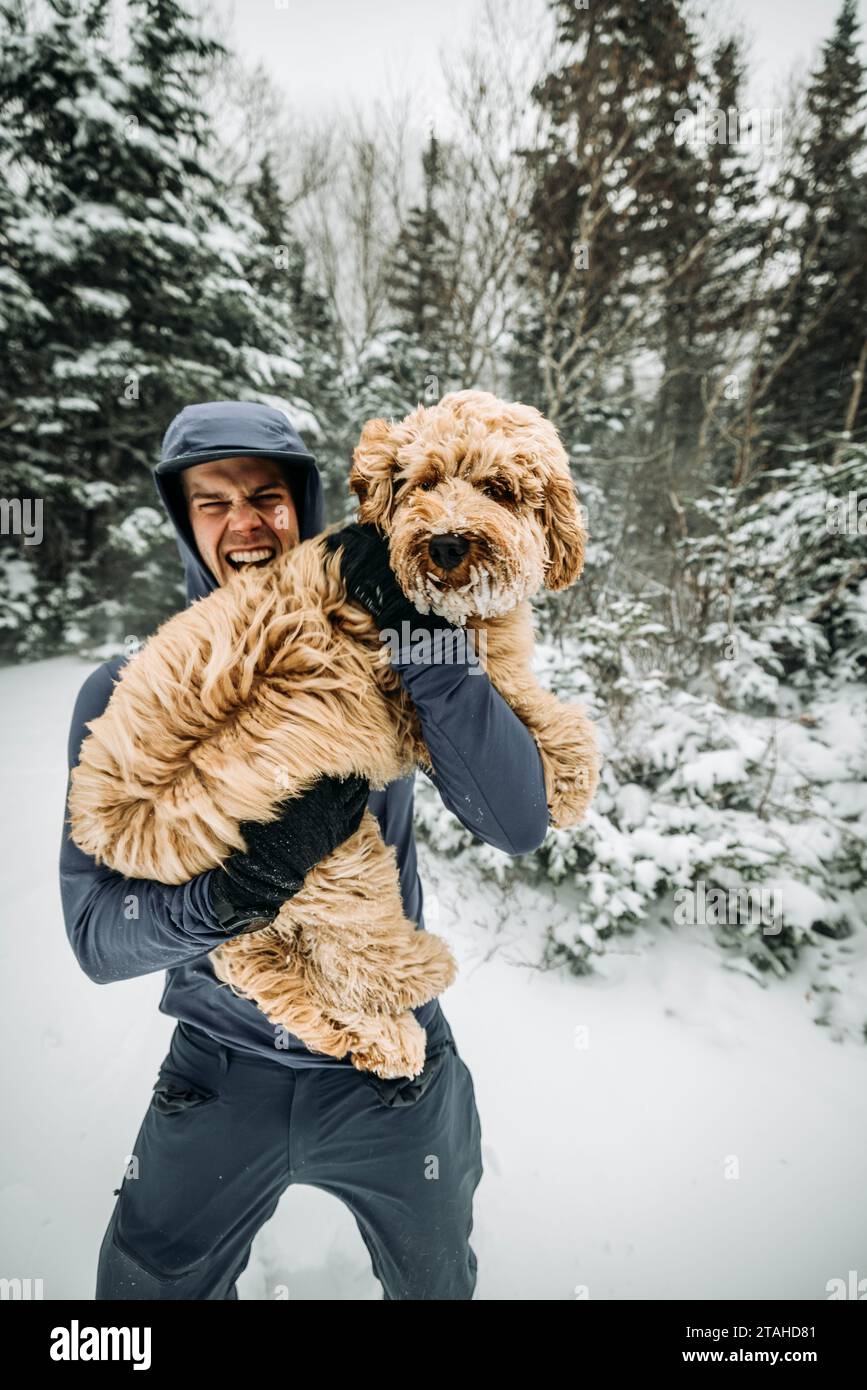 Labradoodle in new forest hi-res stock photography and images - Alamy